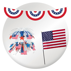 2024 Presidential Election Party Decorations & Supplies – Windy City ...